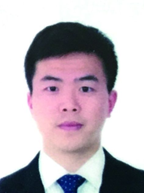 Towards the intercalation and lithium plating mechanism for high safety ...