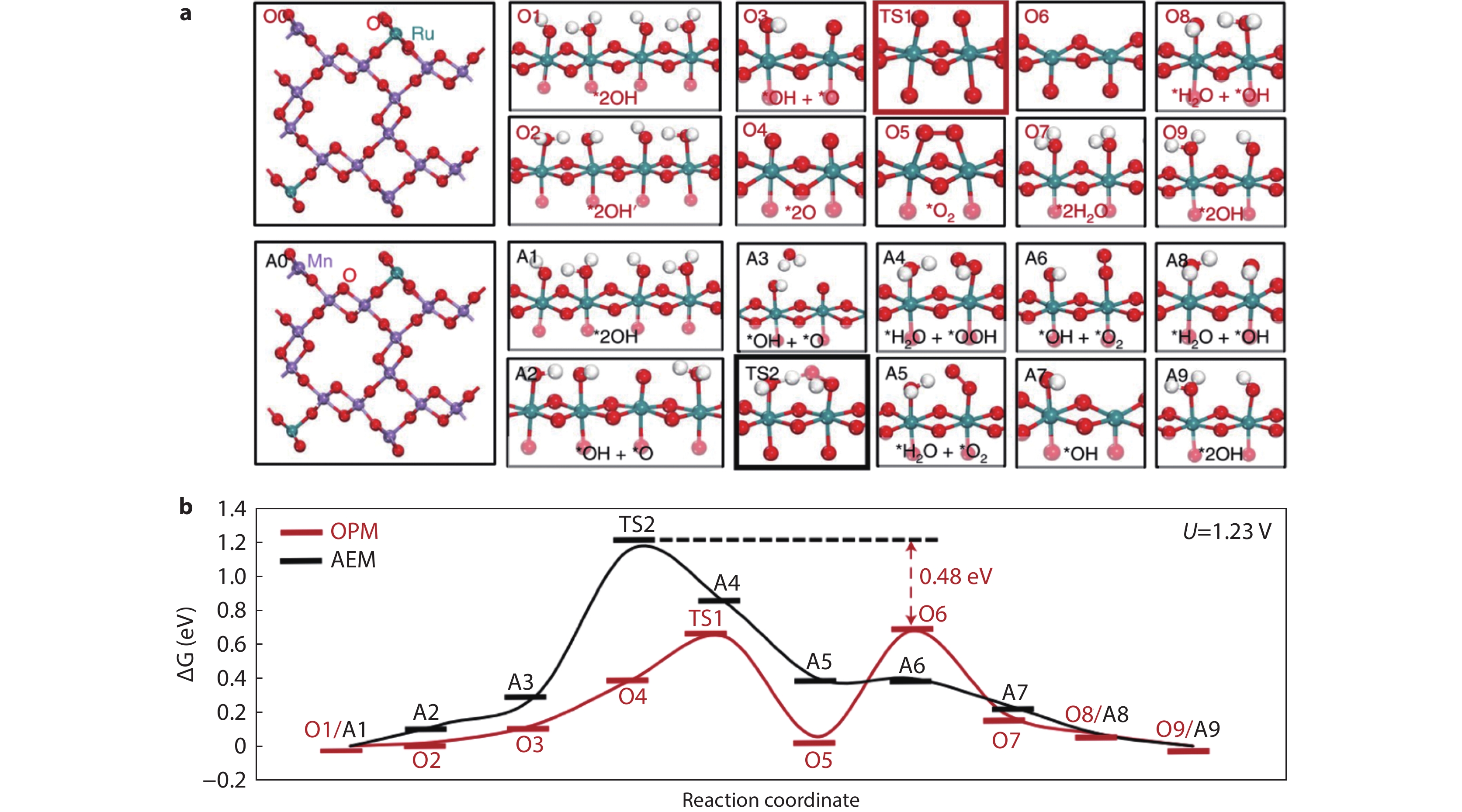Ruthenium-based metal oxide for acidic oxygen evolution reaction: advances and challenges