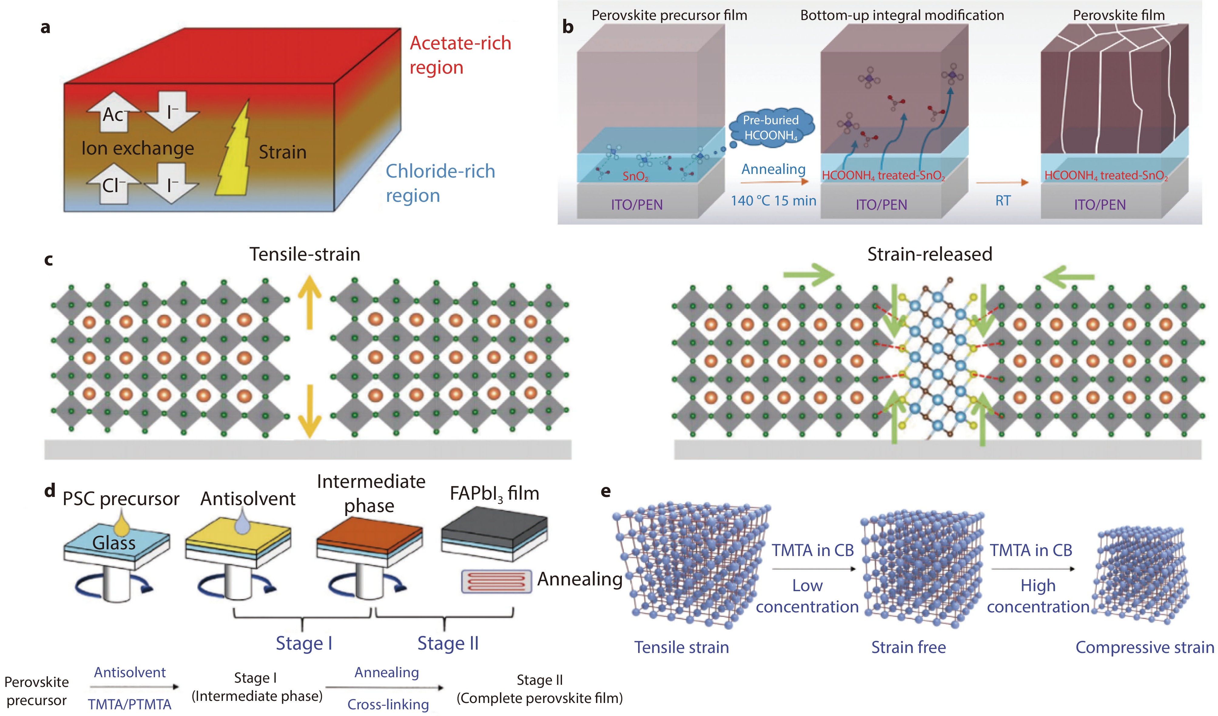Strain management in perovskite solar cells