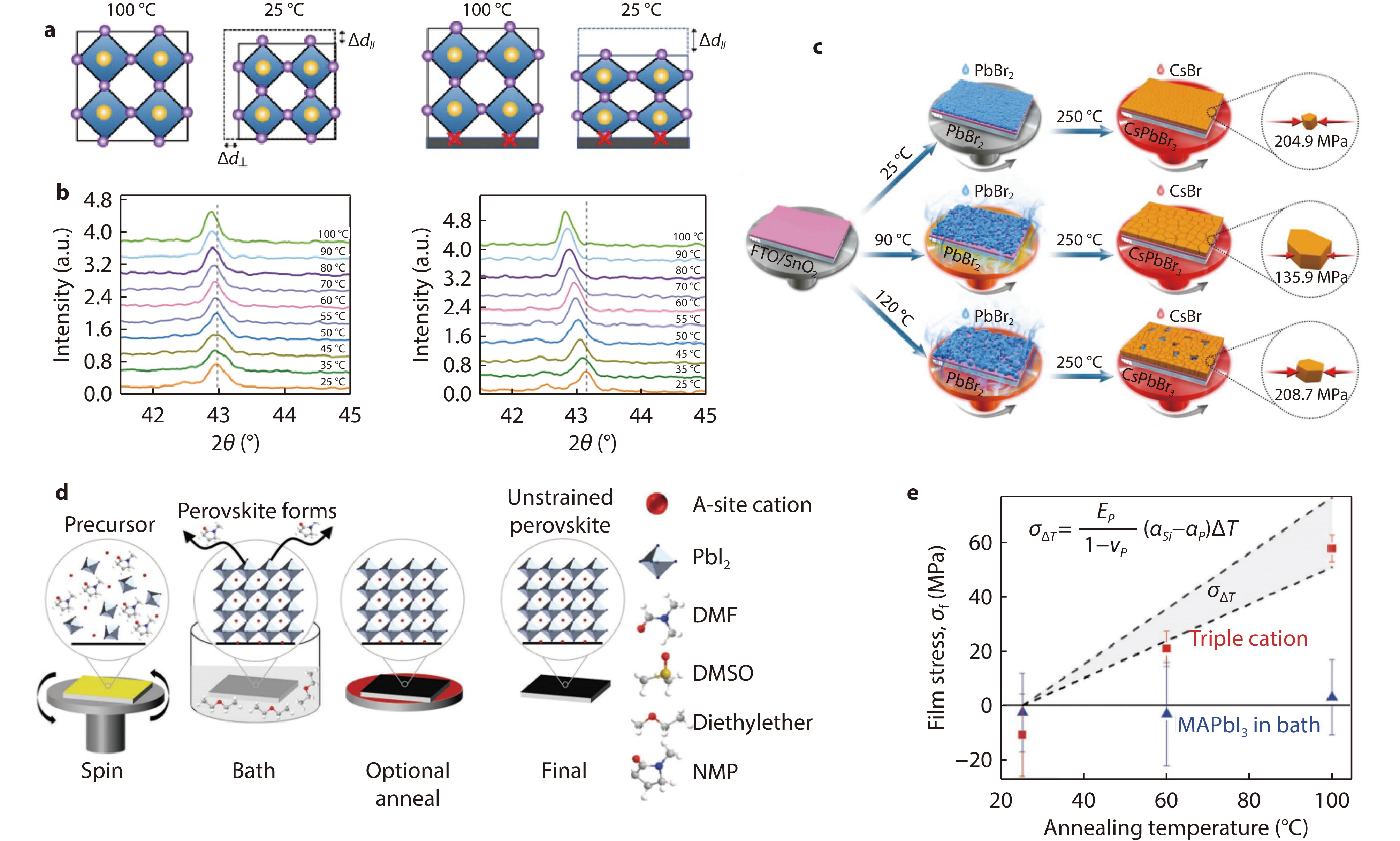 Strain management in perovskite solar cells