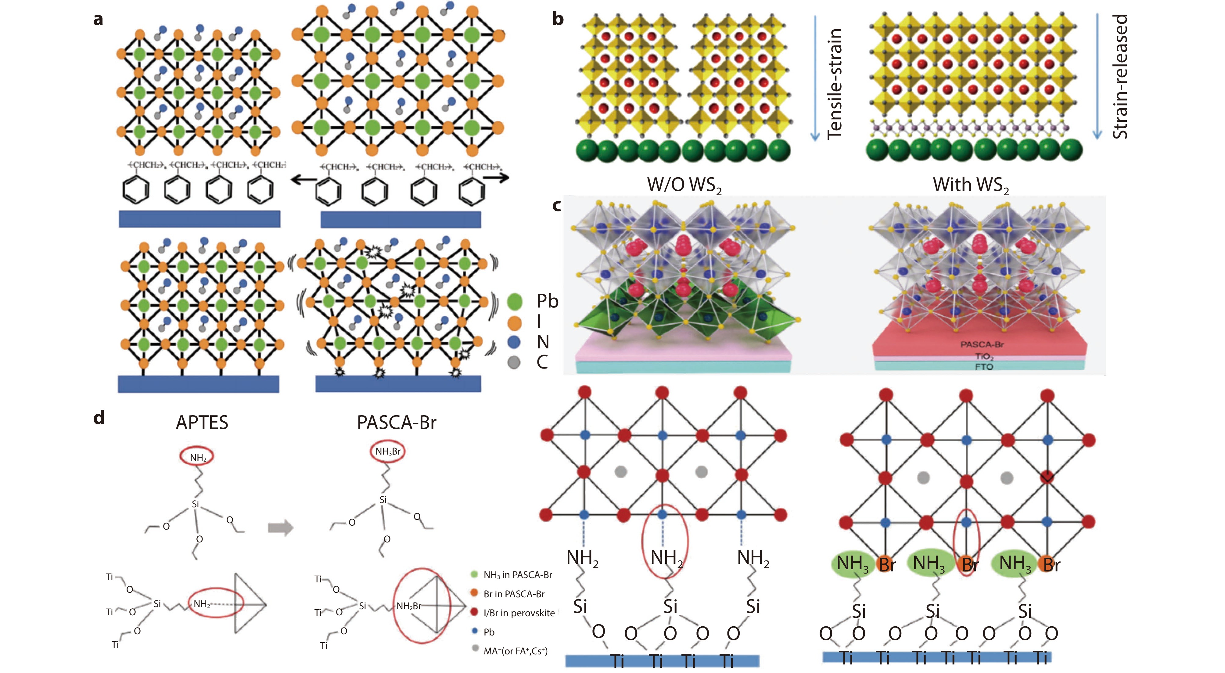 Strain management in perovskite solar cells