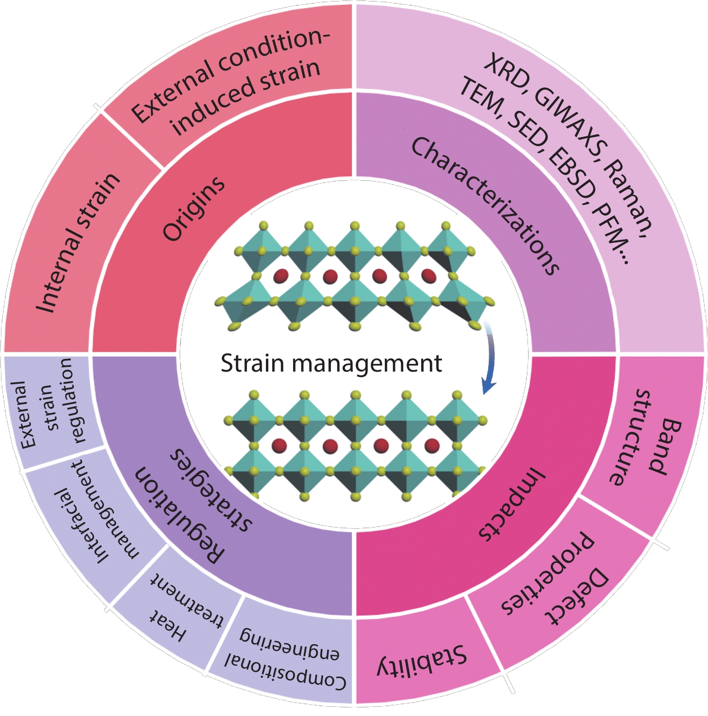 Strain management in perovskite solar cells