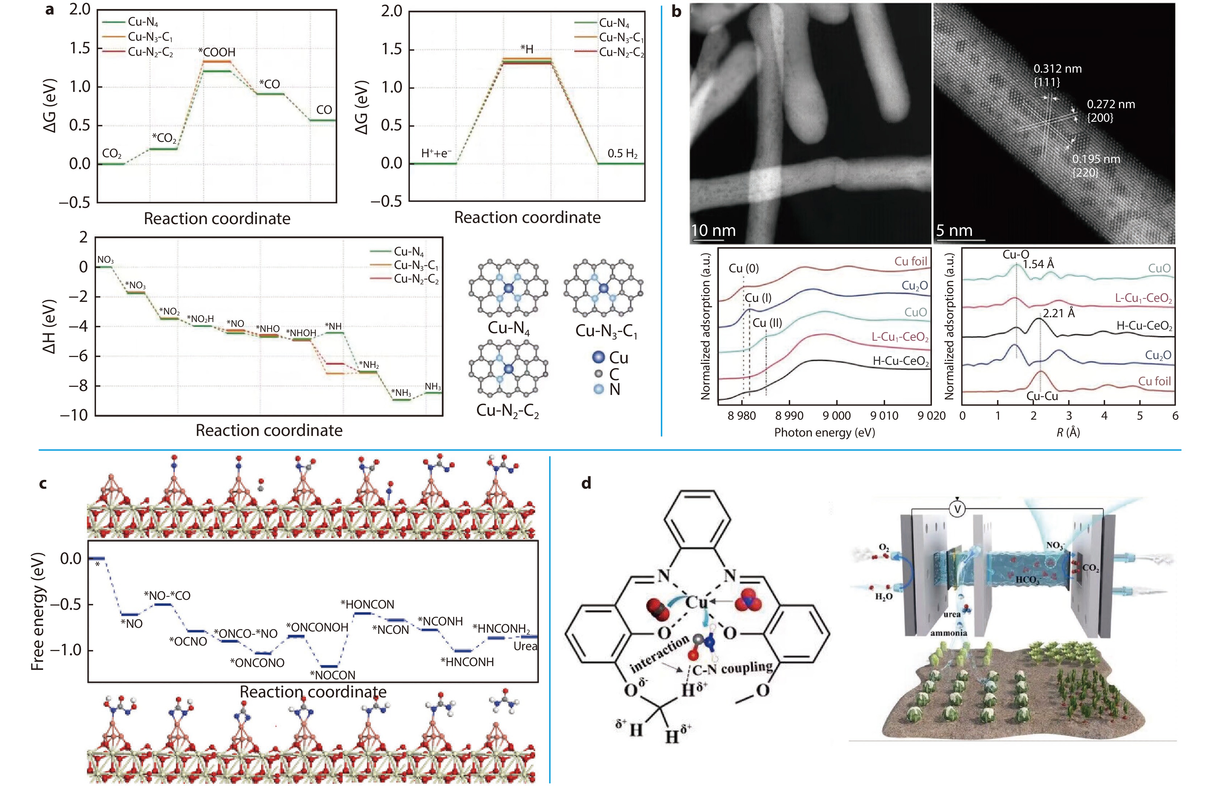 Synthesis of organonitrogen compounds via heterogeneous ...