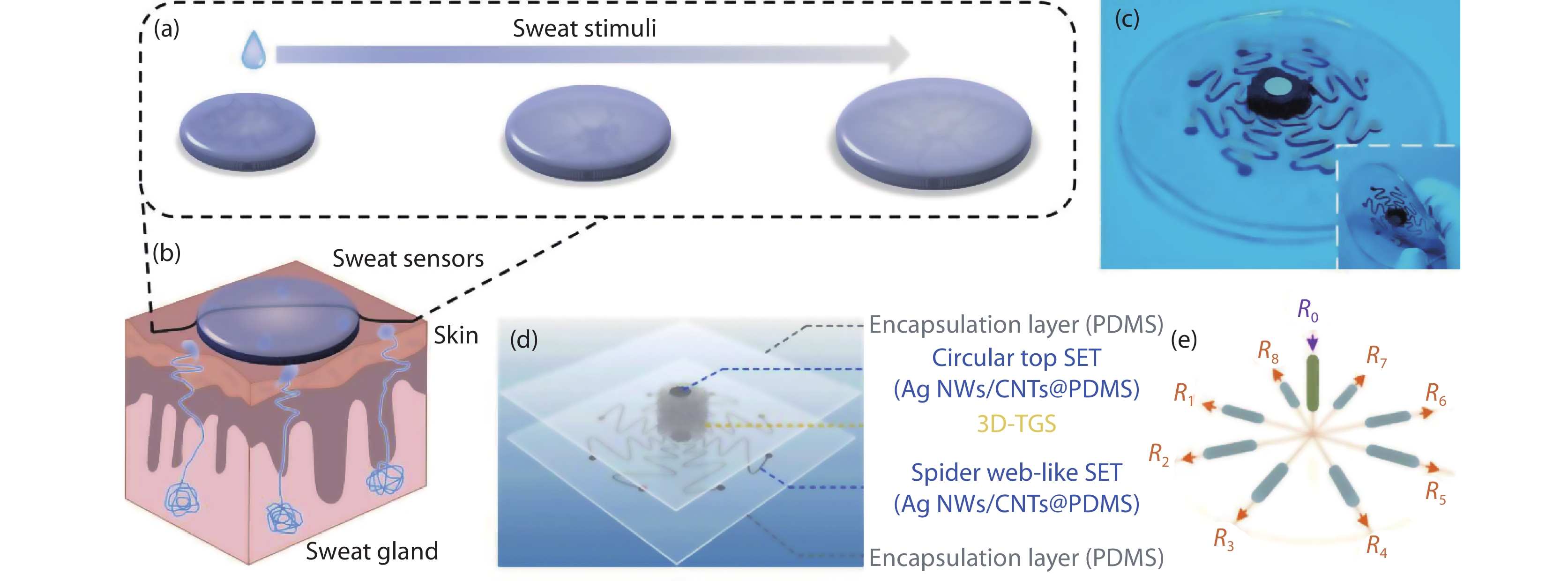 Wearable Sweat Biosensors on Sports Analysis
