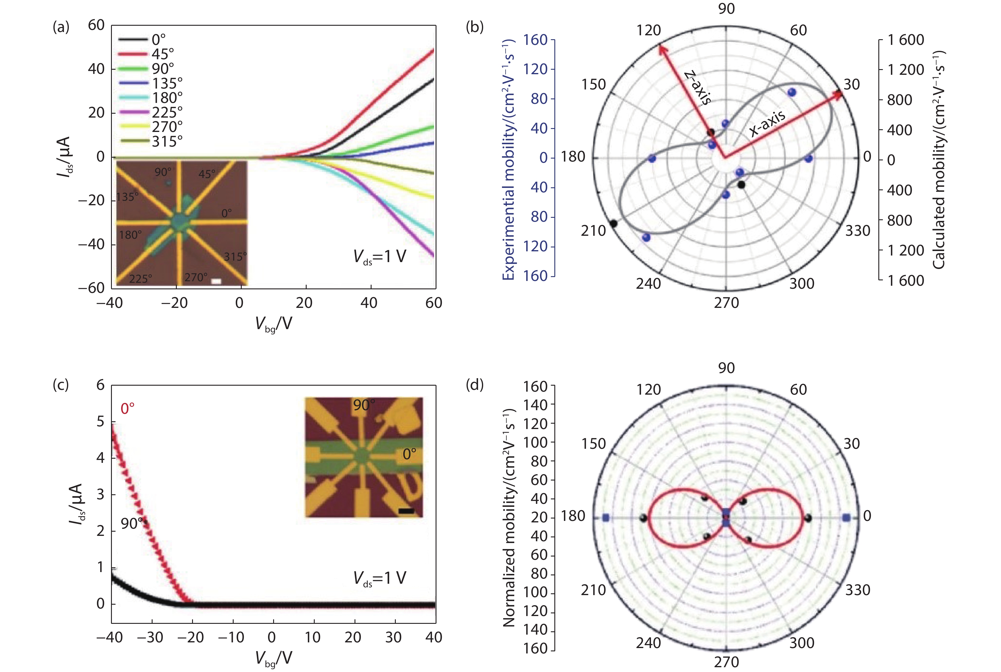 Seeking Novel Low-symmetry 2D Materials with Strong In-plane Anisotropy
