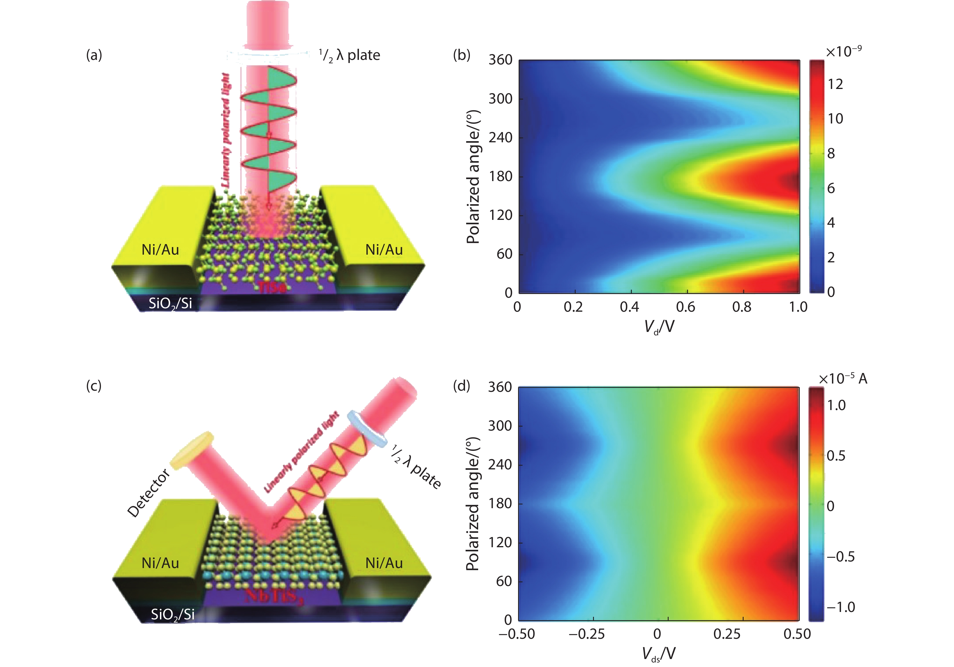 Seeking Novel Low-symmetry 2D Materials with Strong In-plane Anisotropy