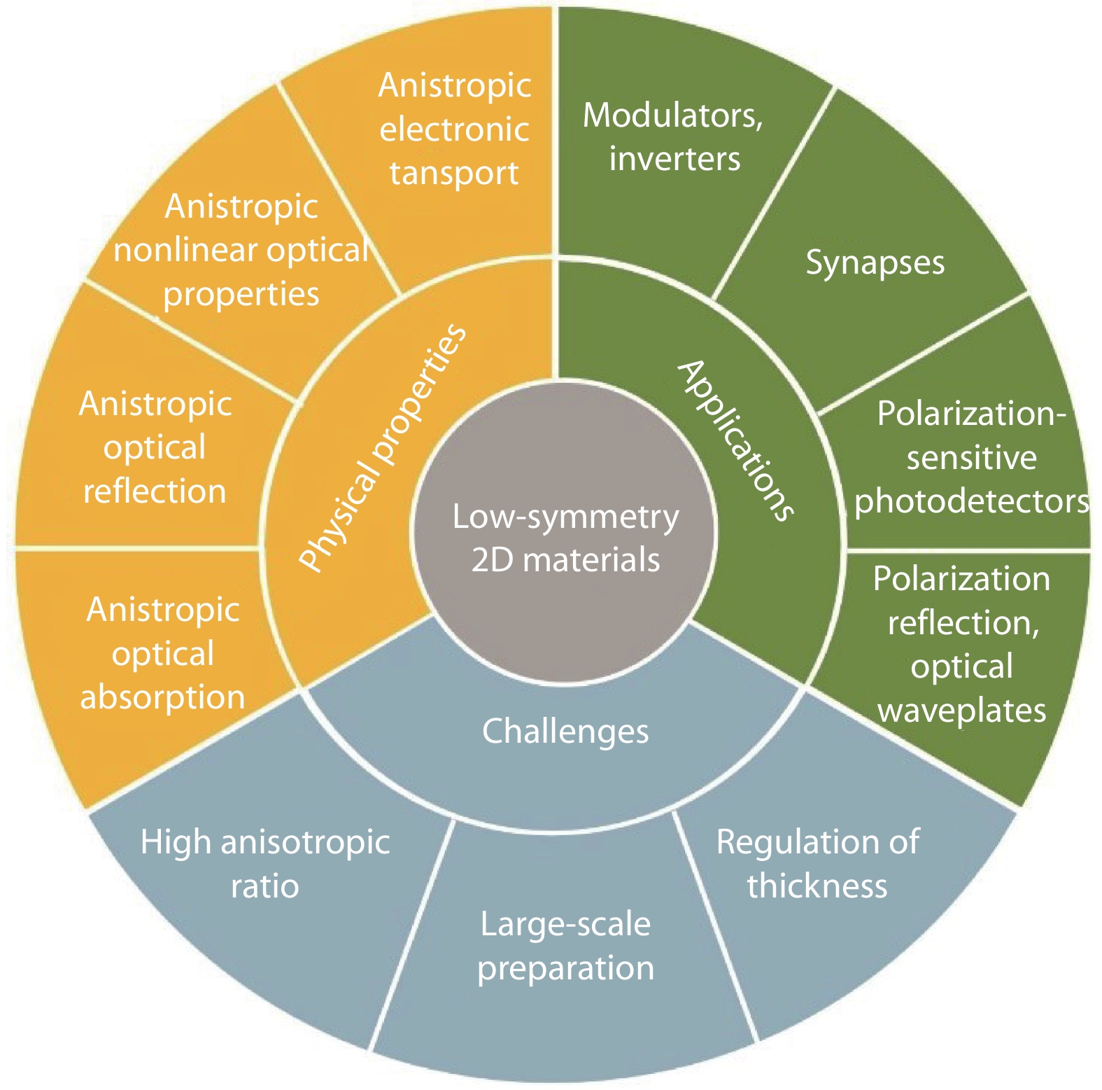 Seeking Novel Low-symmetry 2D Materials with Strong In-plane Anisotropy