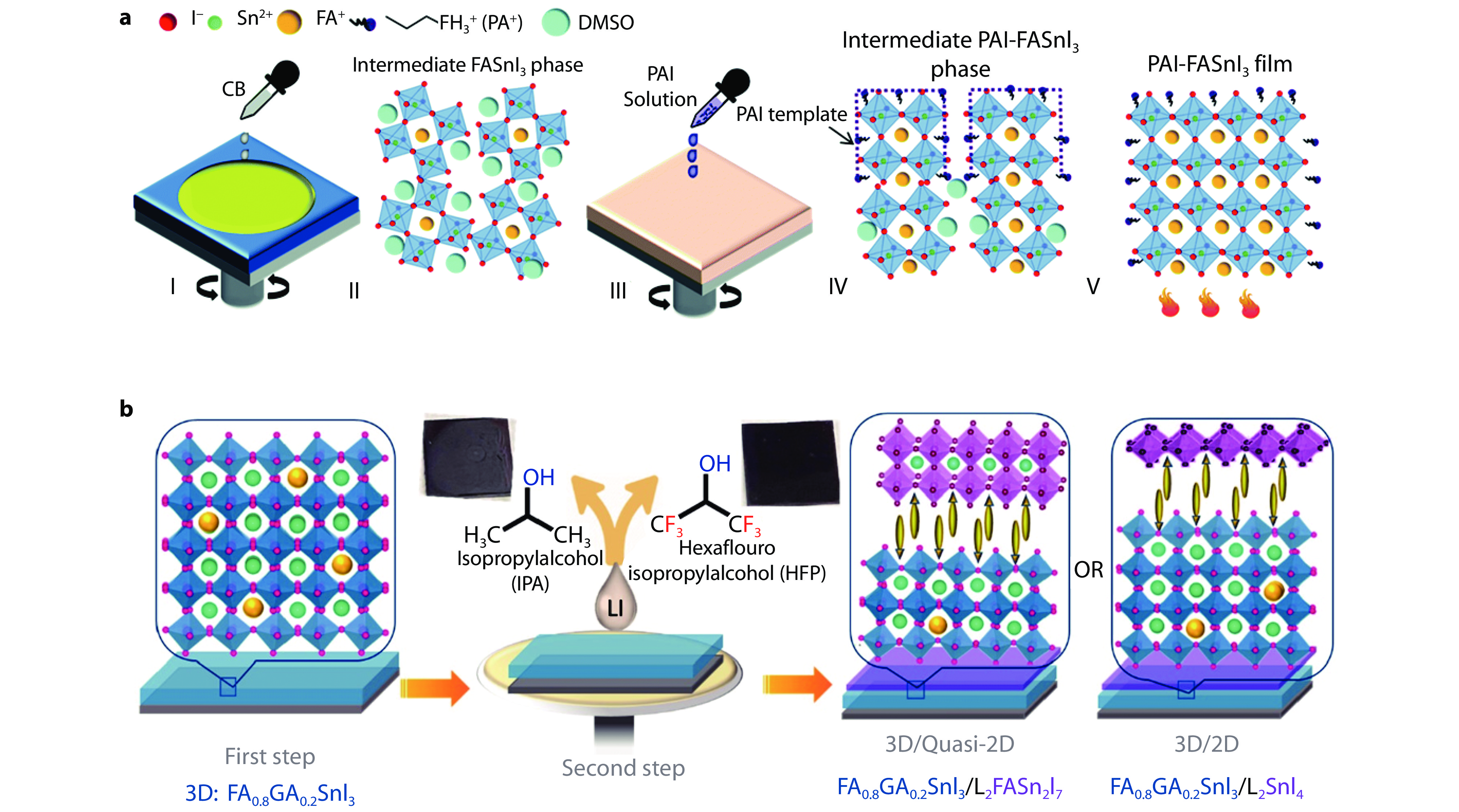 Dimensional Tailoring Endows Tin Halide Perovskite Solar Cells with High Efficiency and Stability