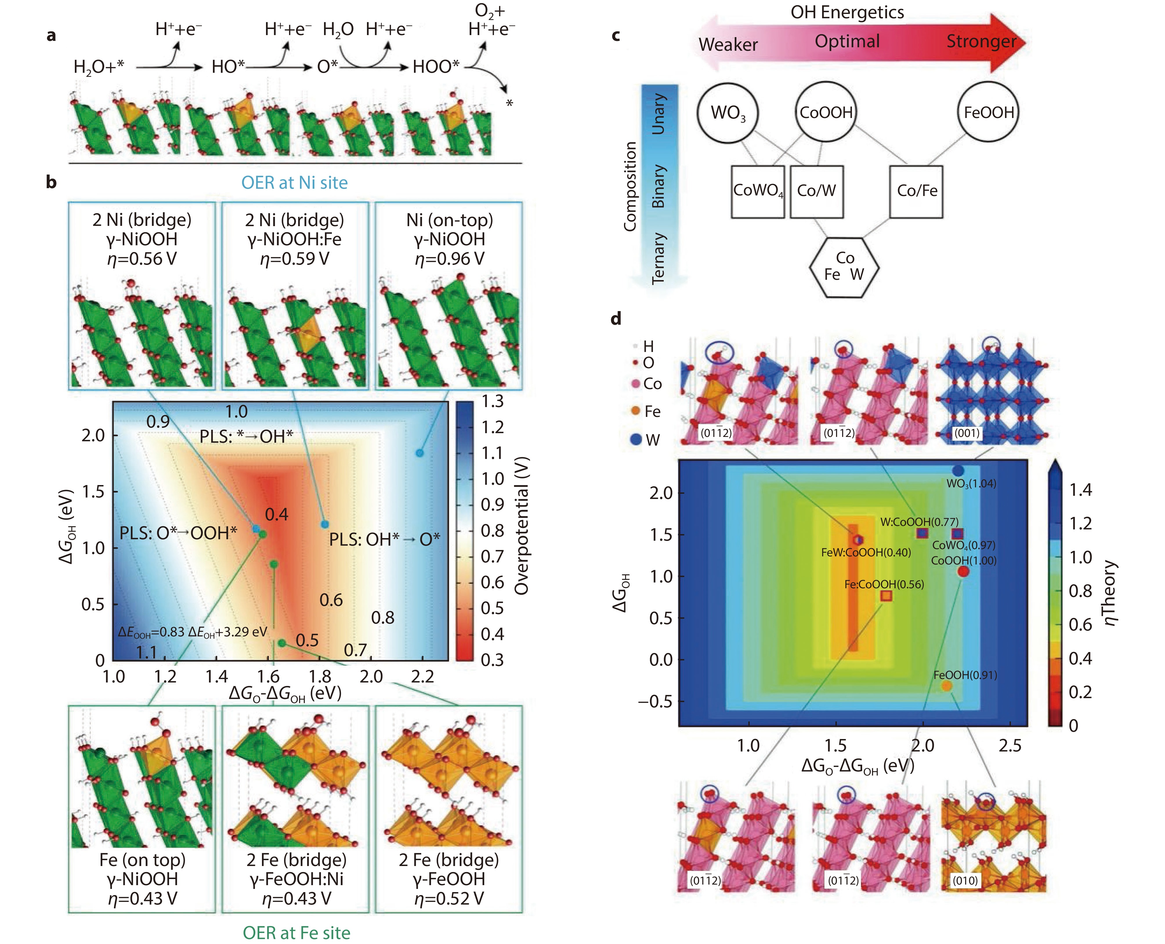 Mechanisms of oxygen evolution reaction in metal oxides: adsorbate ...