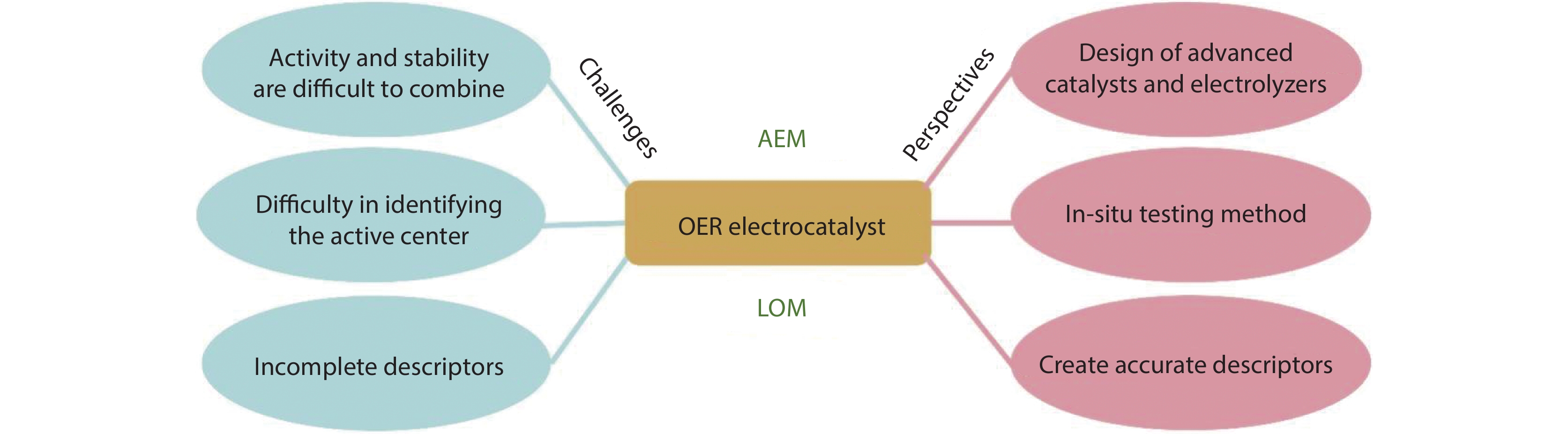 Mechanisms of oxygen evolution reaction in metal oxides: adsorbate ...