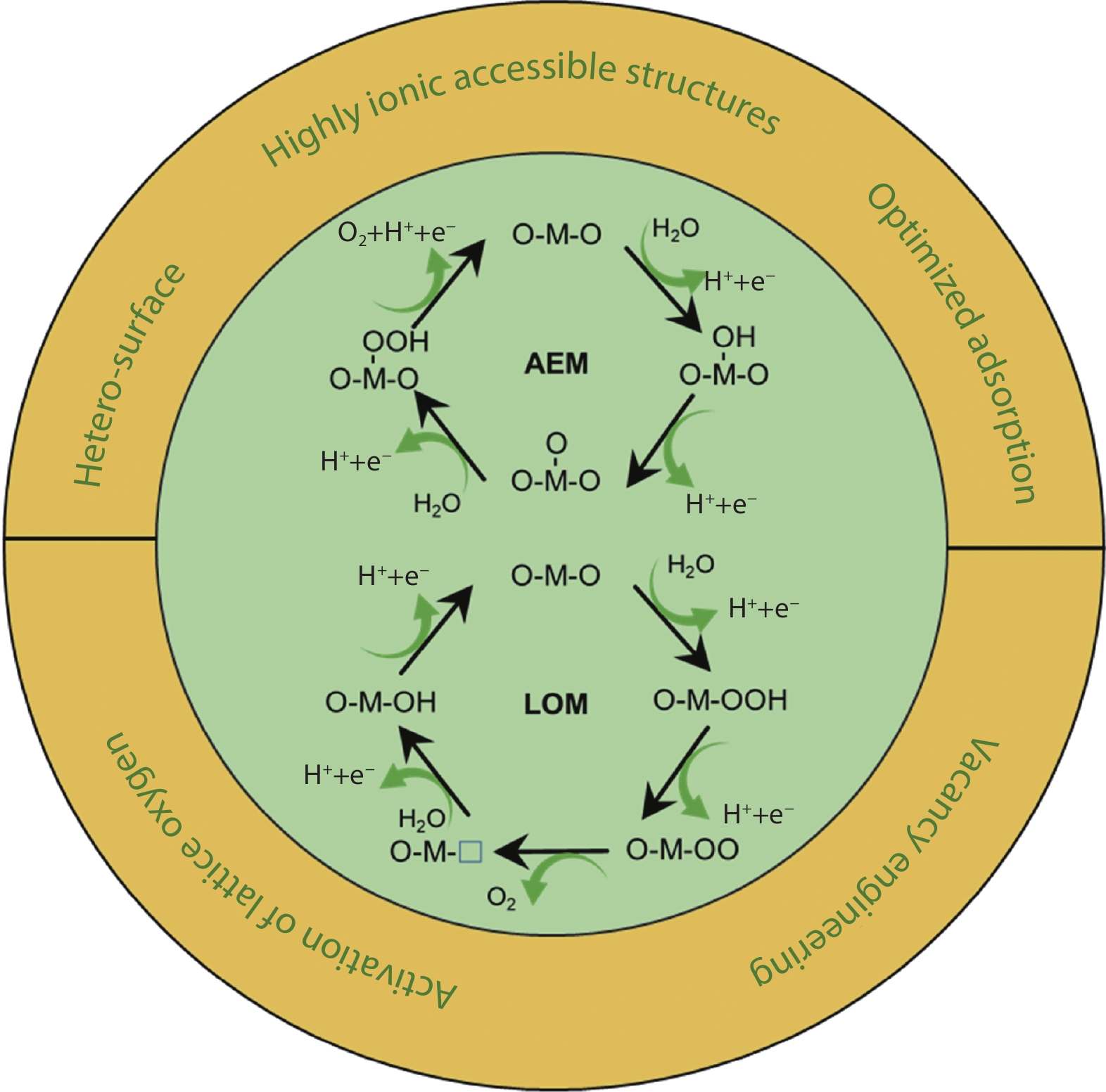 Mechanisms of oxygen evolution reaction in metal oxides: adsorbate ...